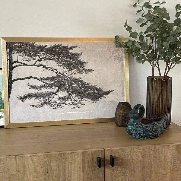 Pine Tree Branch Print, Vintage Tree Drawing Enhanced, Printable Tree ...