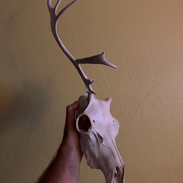 A Candle to Enhance Connection and Communication With the Norse Gods ... A Candle to Enhance Connection and Communication With the Norse Gods ...