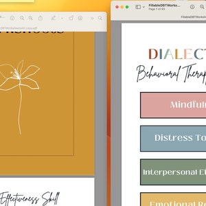 Zones of Self-regulation Coping Skills Toolbox, School Counselors ...