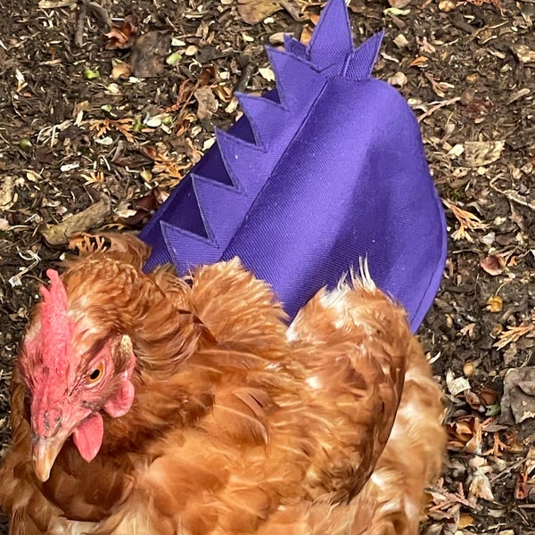 Waterproof Chicken Saddle: Dinosaur Costume Hen Apron With Tail Spikes ...