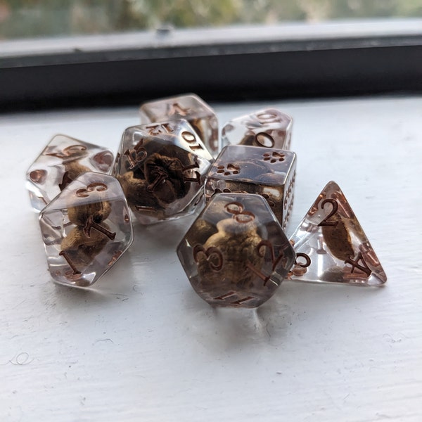 Coffee Bean Dnd Dice Set: Real Coffee, Copper Font - Etsy