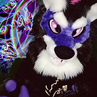 Fennec Fox Fursuit Partial Fox Fursuit Head Premade Fursuit - Etsy