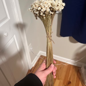 Dried Cattails Natural Cattails Cottage Decor Craft - Etsy