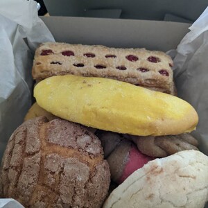 Mexican Sweet Bread/ Pan Dulce/ Variety of Traditional Mexican Sweet ...
