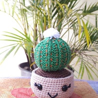 Barrel Cactus Crochet Pattern - Etsy Canada