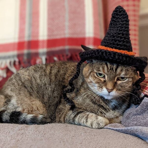 Crochet Pattern: Witch Hat for Cats, PDF Instructions for Cat Witch Hat ...