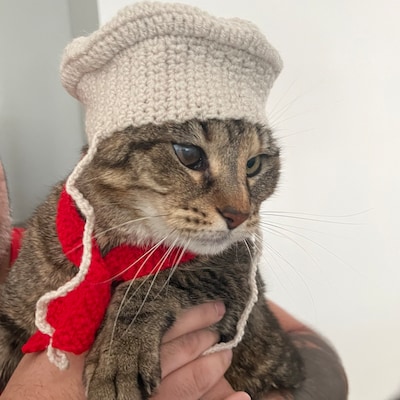 Little Red Riding Hood Cat Costume, Pet Costume, Cat Halloween Costume ...