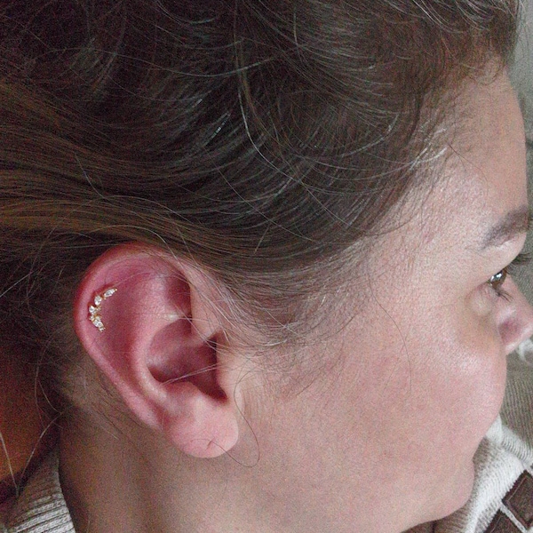 Helix Piercing, Spiral Ear Piercing, Conch Piercing, Silver Earrings ...