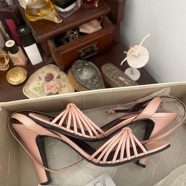 1913 Expedition of Citizenship Rodman Wanamaker Black White Photo Print ...