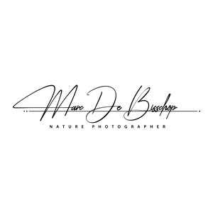 Custom Name Signature Design. Personalised Handwritten Style - Etsy