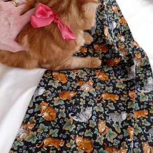 Siamese Catnip Toy Tuxedo Cat Catnip Toy Panther Catnip | Etsy