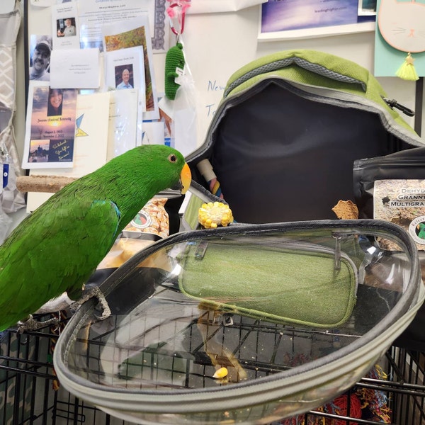 Freeze Dried Mixed Nuts Battered Banana Slices 2.5 Oz - Etsy