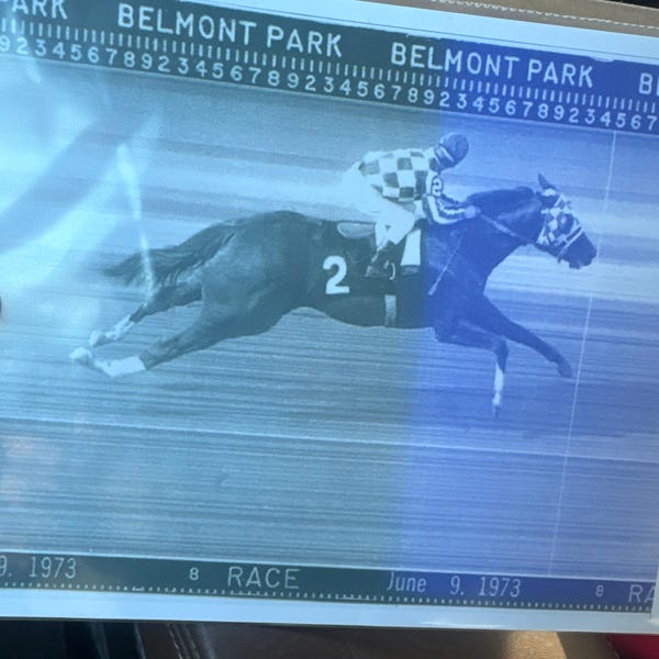SECRETARIAT - Close up Head & Neck Color Photo - 10" X 8" - Etsy