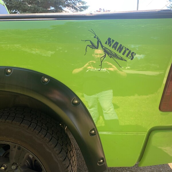 Praying Mantis Vinyl Decal (sticker) - Etsy