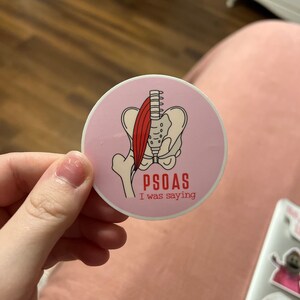 Pelvic Health Physical Therapy Sticker, Floral Physical Therapist, DPT ...