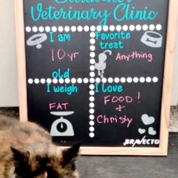 Veterinary First Visit Chalkboard Vet Visit Chalkboard Pets First Visit ...