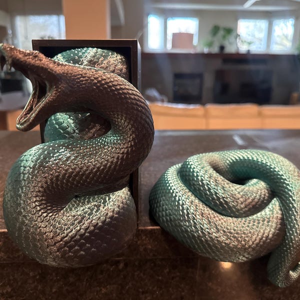 Snake Book Nook - Two-part Head and Tail Design for Bookshelves - Etsy