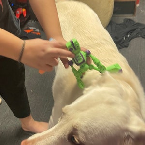 Ball Python Snake 3d Printing Snake Python Articulated Fidget - Etsy