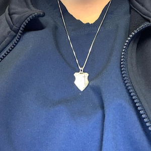 Custom Turquoise Dog Tag, Dog ID, Dog Identification, Bronze & Silver ...