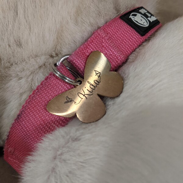 Leather Dog Collar, Engraved Dog Collar, Pet Tags Personalized, Collar ...
