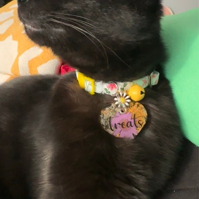 Strawberry Cat Collar Strawberry Kitten Collar Strawberry Collar ...