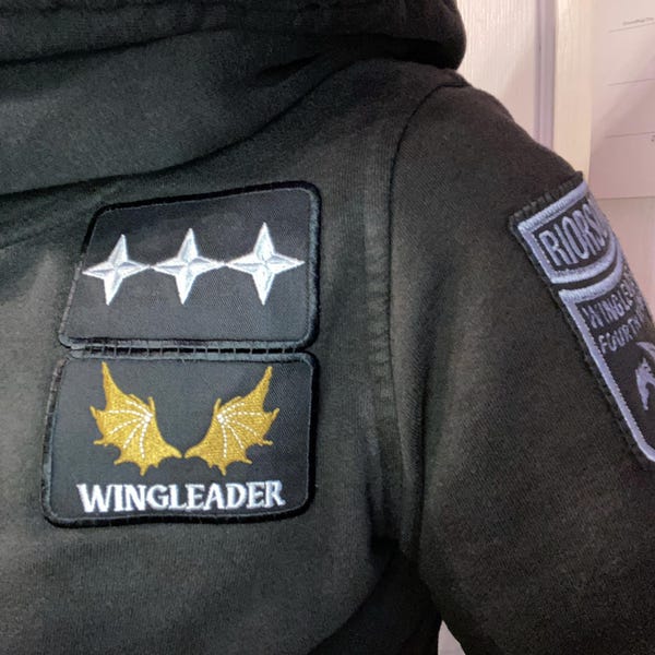 Fourth Wing Embroidered Patch, Flight Jacket Cosplay Patches, Dragon ...