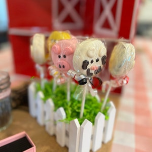 Zoo Animal Oreo Cookie Pops / Safari Party Favor / Chocolate - Etsy