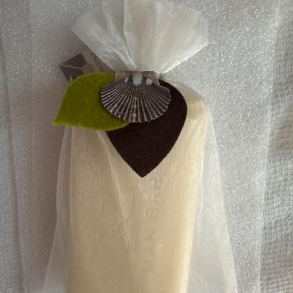 Sunray Venus Clam Shell, Callista Erycina Clam Shell ( 2.25 - 3") | 4 ...