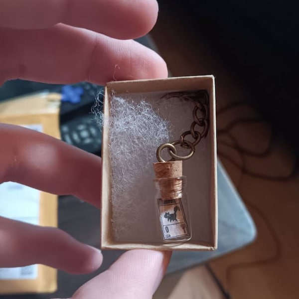 INSCRYPTION Necklace Card in a Bottle Squirrel Black Goat Boulder ...