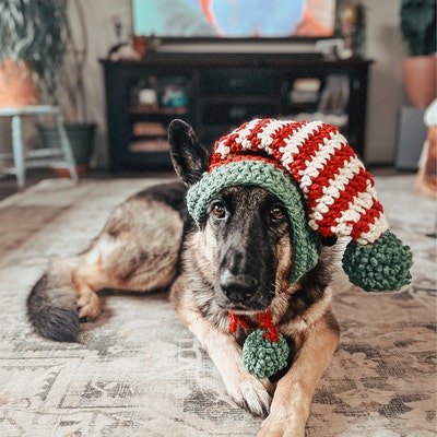 Devil Dog Costume Devil Horns for Large Breed Dogs Red Devil Dog Hat ...