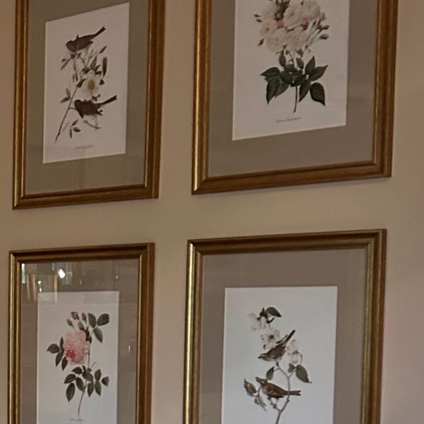 Custom Single Mat Matboard for Picture and Certificate Framing - Etsy