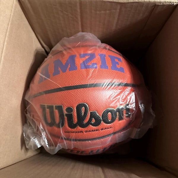 Customized Personalized Wilson Evolution Basketball Indoor Sizes 29.5 ...