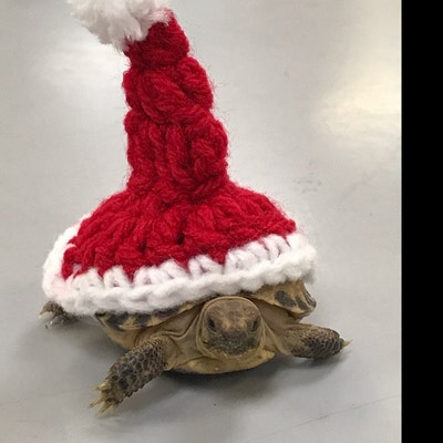 Crochet Santa Hat Turtle/tortoise Costume - Etsy