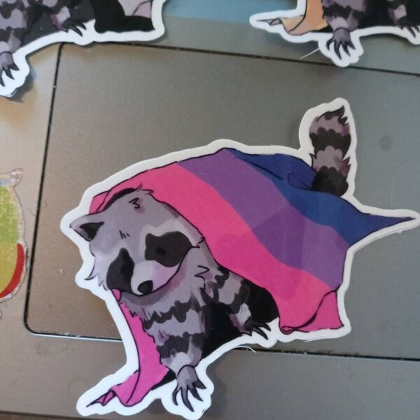 Pride Raccoon Stickers | Cute Animal Stickers | Water Resistant Glossy ...