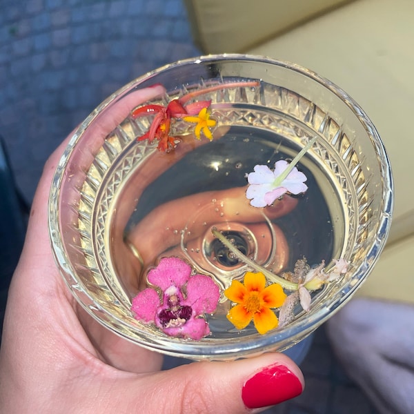 Fresh Edible Flowers Micro Flowers™ Blend 200 Ct - Etsy