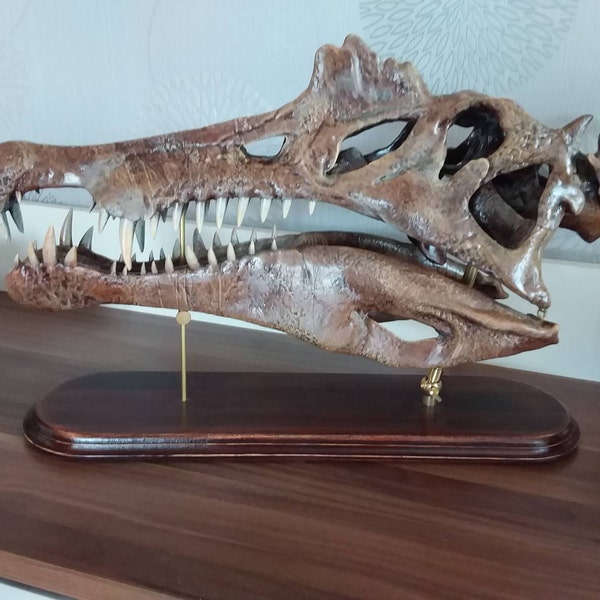 Spinosaurus Dinosaur Skull Replica Made From 3D Scans of Real Fossils ...