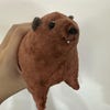 Rock Hyrax #1 - Rock Badger - Cape Hyrax - Dassie - 1 Pc - Soft Toy ...