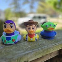 Swamp Orge Duck (shrek) - Etsy