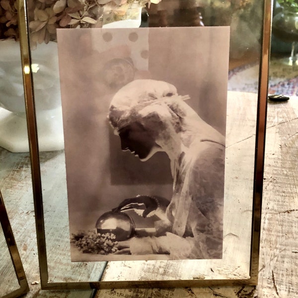 Victorian Lady in Bloomers Vintage Image Poster Print - Etsy