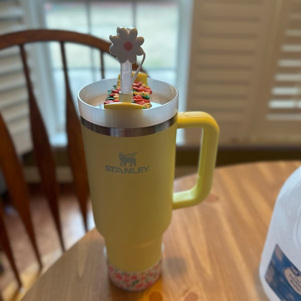 Retro Daisy Tumbler Straw Topper Floral Bottle Straw Cover Silicone ...