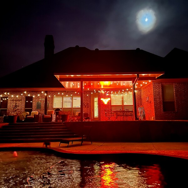 Longhorn Bull Neon Sign, Bull Head Led Neon, Longhorn Head Skull Light ...