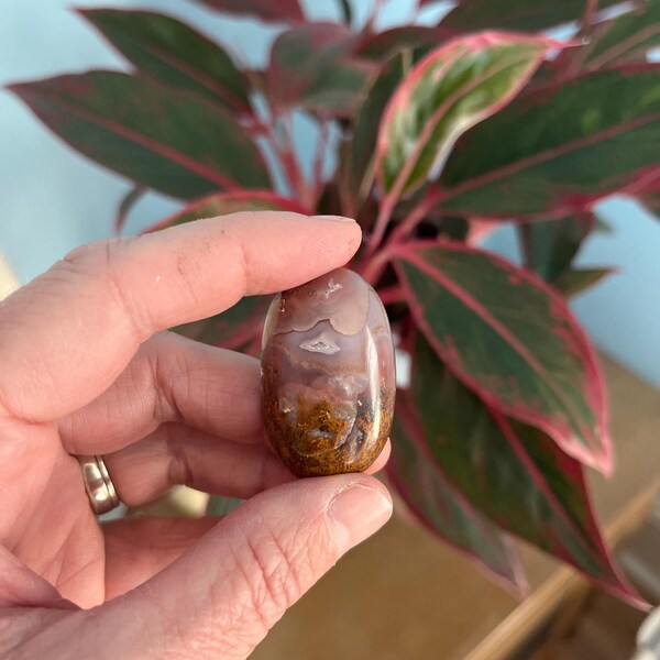 310g Botryoidal Alien Quartz Crystal Geode Specimen/ Botryoidal Quartz ...