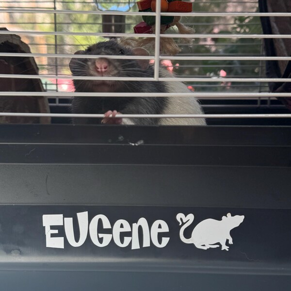Rat Name Cage Decal for Rat Cage Custom Sign for Rat Cage Accessory for ...