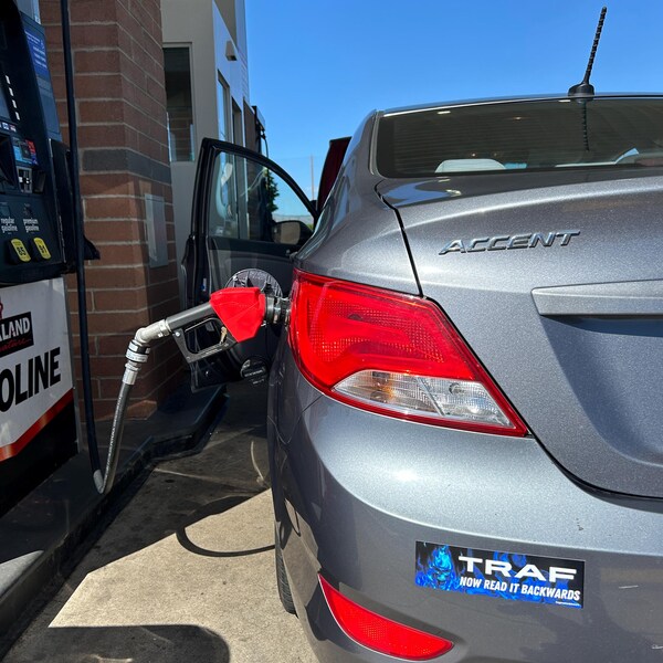 TRAF Now Read It Backwards Bumper Sticker or Magnet: Funny Car ...