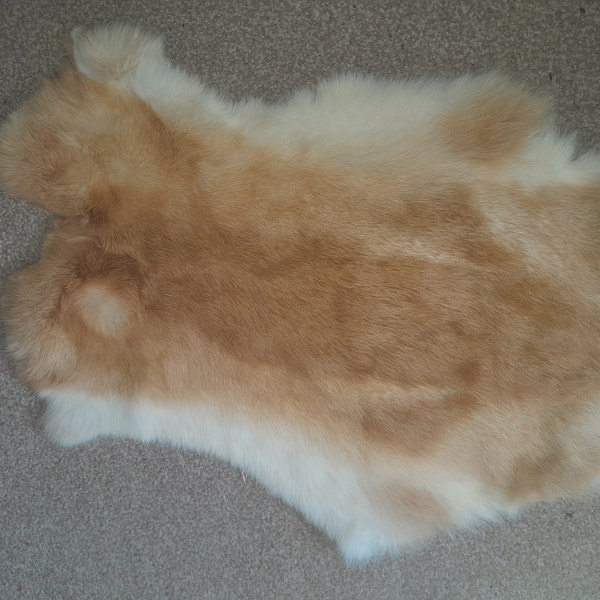 1x Ginger Rabbit Skin Fur Pelt Tanned for Dummy Dog Training Crafts ...