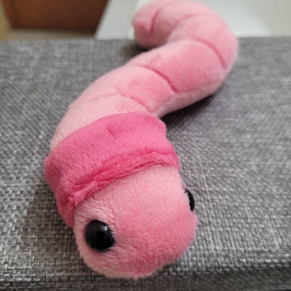 Worm Plush – Handmade Minky Earthworm Plushie, Colorful Custom Plush ...