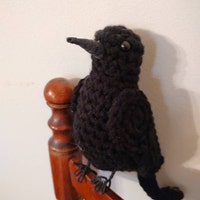 Little Crow Written Crochet Pattern Blackbird / Raven Crochet Amigurumi ...