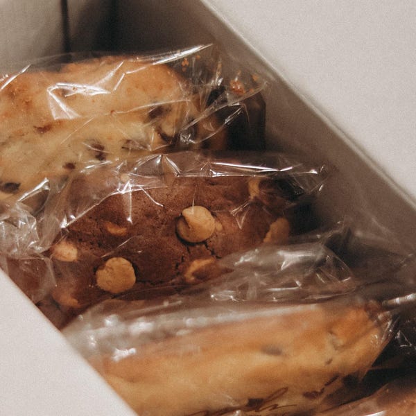 Capybara Icon Pack for Ios, Android, Tablet, Cute Animal Icons ...