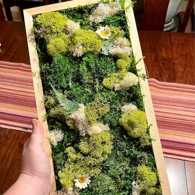 DIY Zen Garden Kit Desktop Zen Garden Meditation Therapy - Etsy