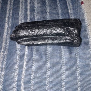 Raccoon Skull Real Bone Animal Taxidermy Bones Macabre Horror - Etsy